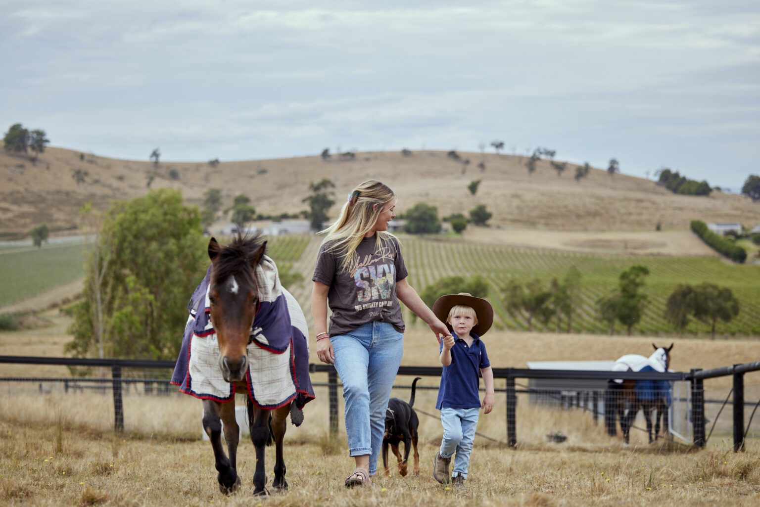 Behind the Build with Beccy Cloke. - dollar curtains + blinds